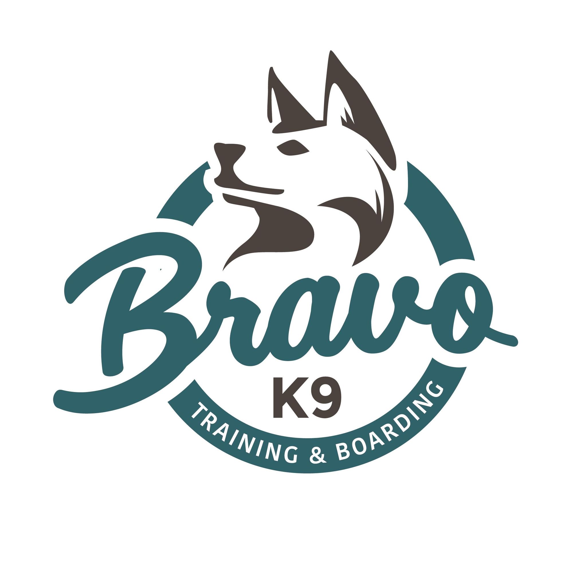 Board and Training | Bravo K9 Training and Boarding